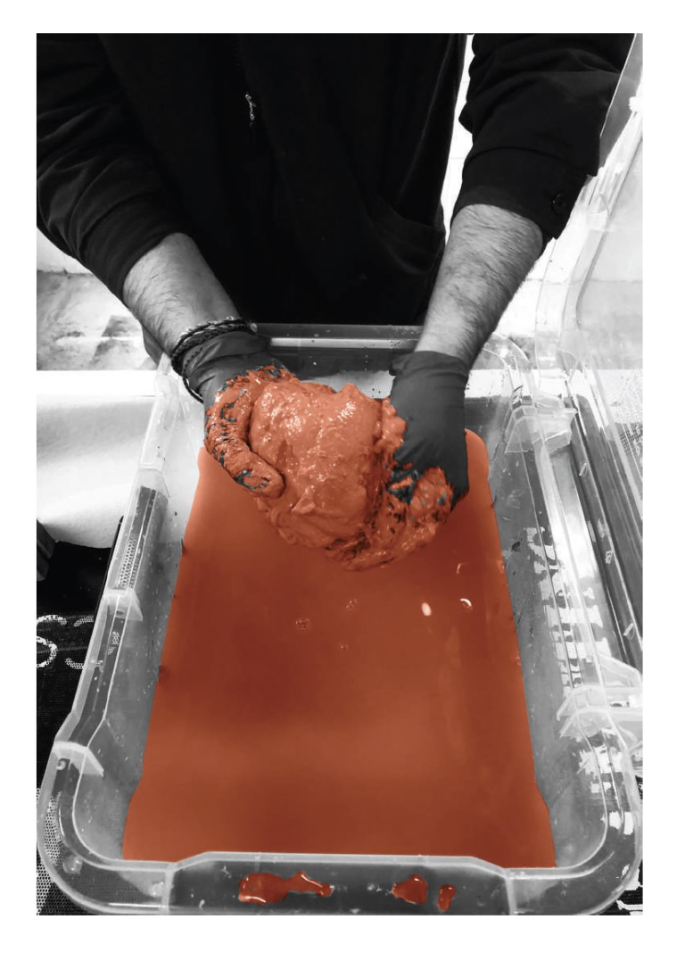 Winner of the 2022 Maxwell Taylor Scholarship - Azrieli School of ...