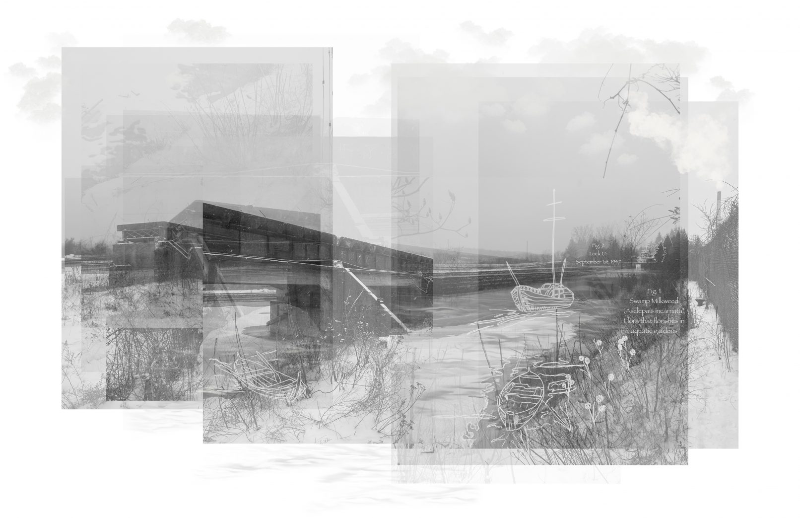 Architecture students work with City of Cornwall to imagine the city’s ...