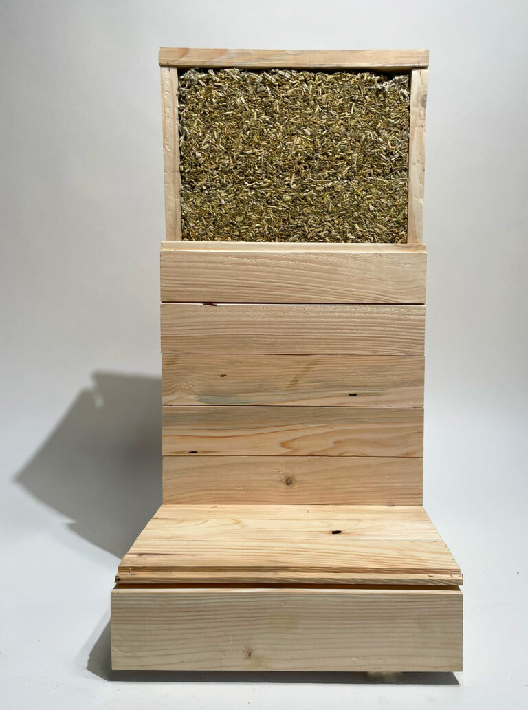 Cattails to coffee: Students build “speculative assemblies” with ...